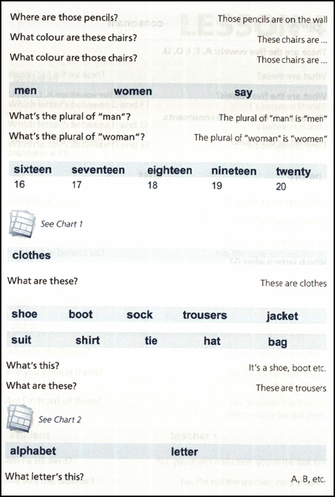 BEGINNER LESSONS (CALLAN) - Oxford Institute Education